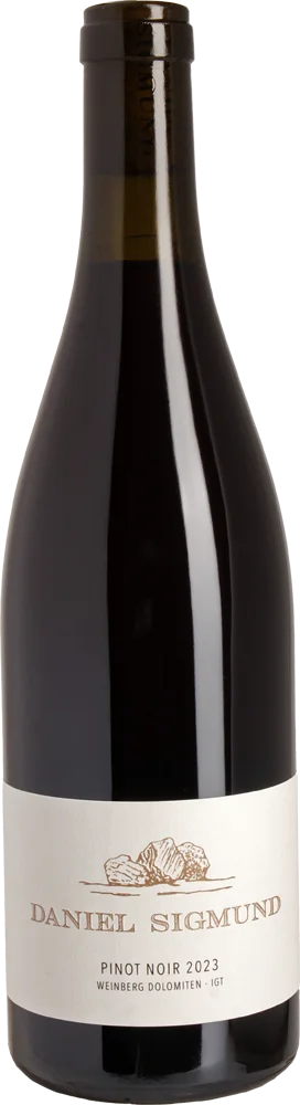Daniel Sigmund Pinot Noir 2023 | Weinkombinat
